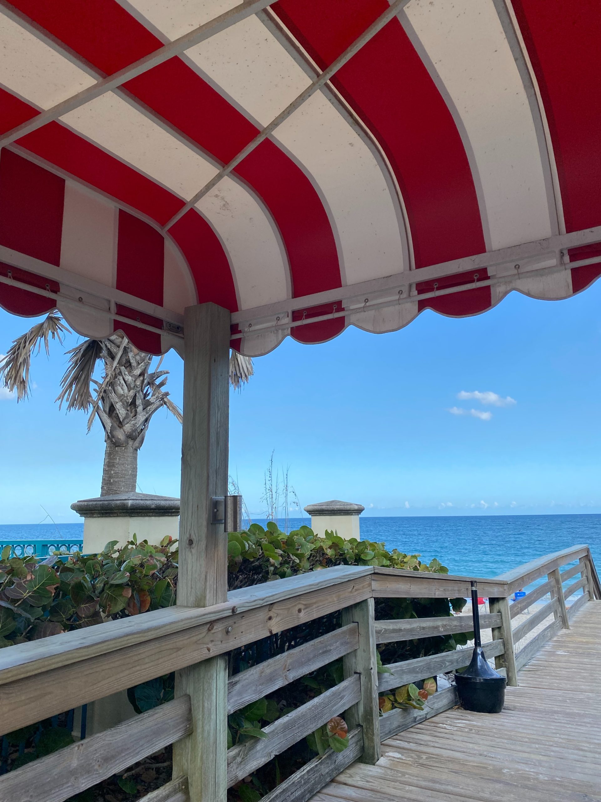Dining in front of the Indian River